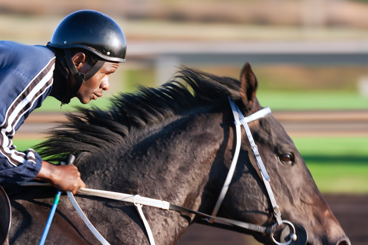 Horse nonprofit gallops away with $1M from taxpayers – Michigan Capitol ...